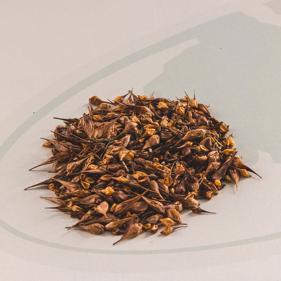 Native Grass Wildflower and Forb Seed – Nativ Nurseries